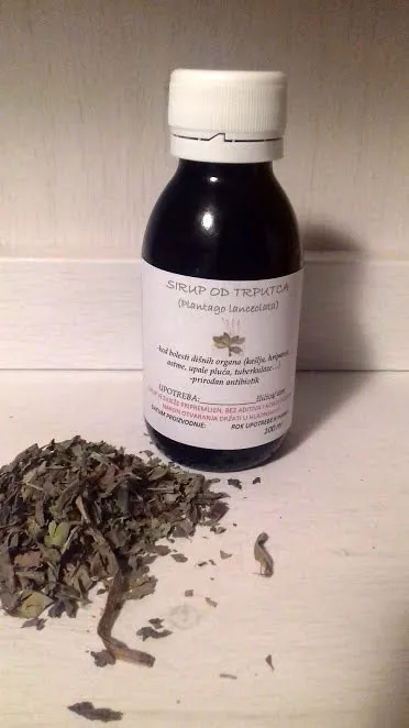 TRPUTAC (Plantago sp.) - Prirodni kutak